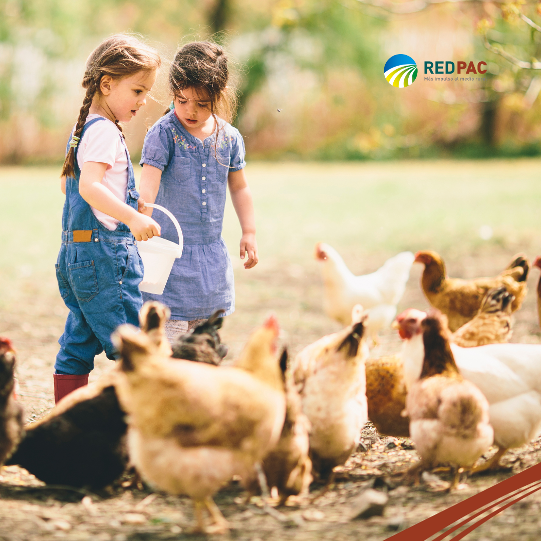 ABRIL 2024 | Red PAC